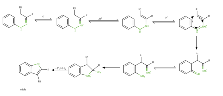 Describe Fischer Indole Synthesis | Reaction and Mechanism
